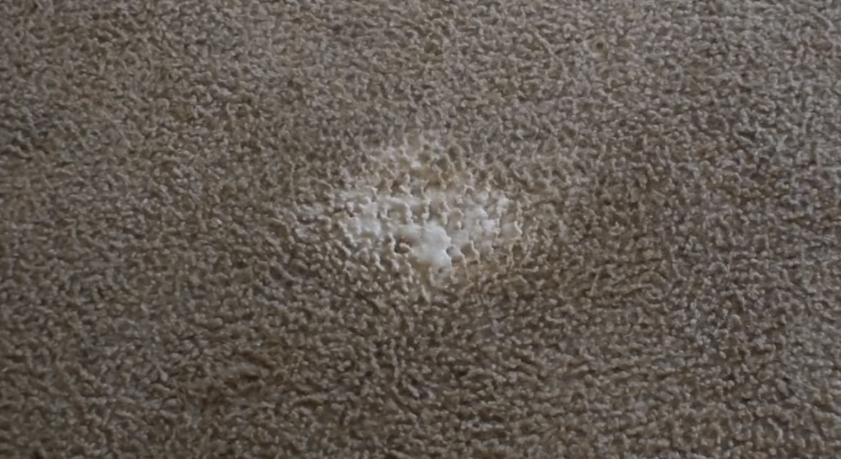 7 Tricks to Remove Soda Stains From Your Carpet! - Rouzati Rugs