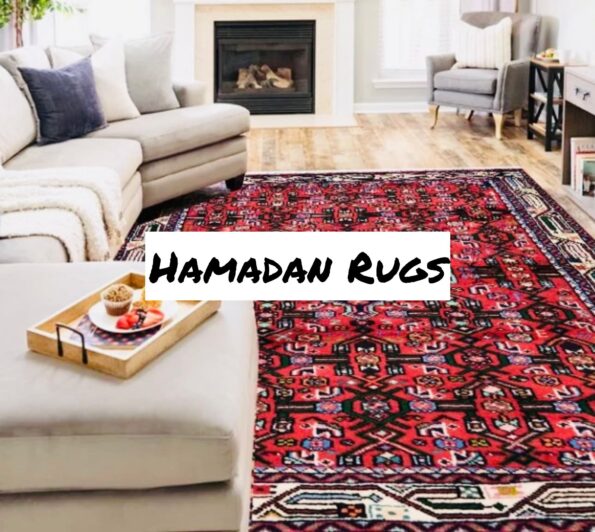 Handsome HAMADAN RUGS in Chicago | Rouzati Rugs